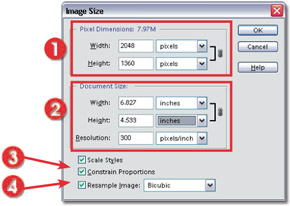 Changing the Size of Your Images | GlobalSpec