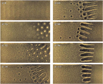 Chapter 5: Complex Fluids | GlobalSpec