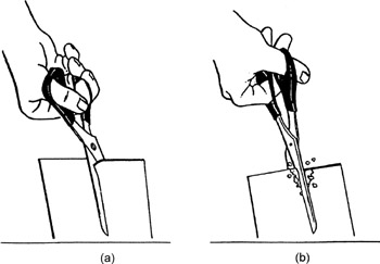 3: Cutting TLC/HPTLC Sheets and Plates | GlobalSpec