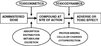 Chapter 3: Toxicokinetics | Engineering360