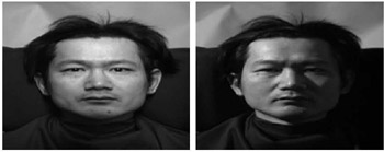 Chapter 5: Illumination Modeling for Face Recognition | GlobalSpec