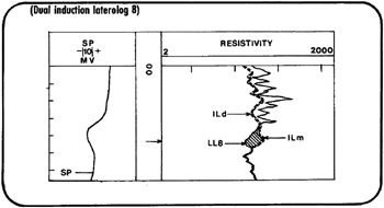 DUAL INDUCTION LATEROLOG 8 | GlobalSpec