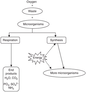 Chapter 3: Aerobic and Anaerobic Bioreactors | Engineering360