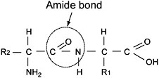 Chapter 9: Thermal and Mechanical Properties of Soy Proteins | GlobalSpec