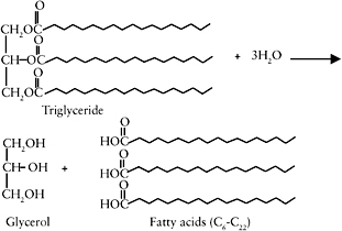 Chapter 17: Polyols from Renewable Resources - Oleochemical Polyols ...