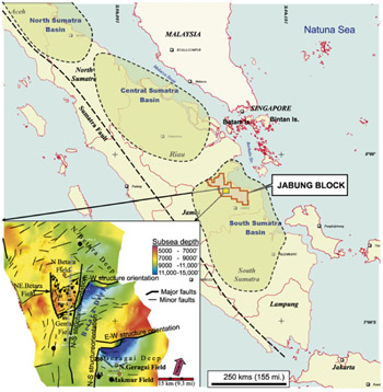 Chapter 12: An Example of Integrated Characterization for Reservoir ...