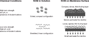 2.3: Membrane Fouling, Scaling, and Controls | Engineering360