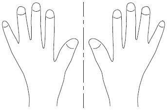 Chapter 41: Mirror Image | GlobalSpec