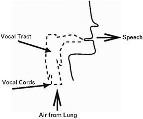 Chapter 2: Digital Speech Coding | GlobalSpec