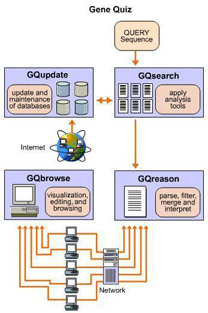 Understanding the Gene Quiz Tool | GlobalSpec