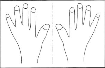 Chapter 41: Mirror Image | GlobalSpec